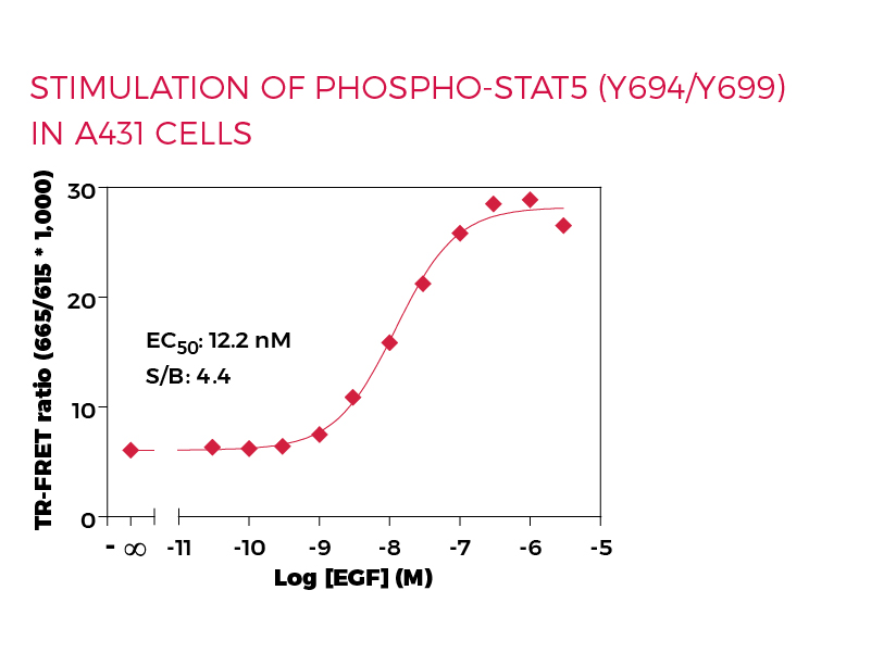 THUNDER[TM] Phospho-STAT3 (Y705) + Total STAT3 TR-FRET Cell Signaling ...