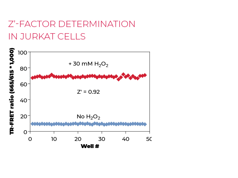 THUNDER Phospho-SLP-76 (S376) TR-FRET Cell Signaling Assay Kit ...