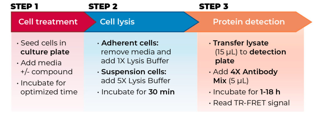 Updated: A direct comparison of THUNDER™ assay performance with two ...