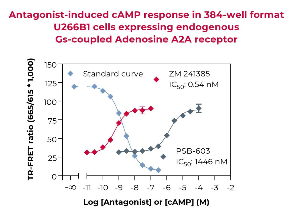 Antagonists-Gs-A2A-U266B1-cAMP assay | Bioauxilium