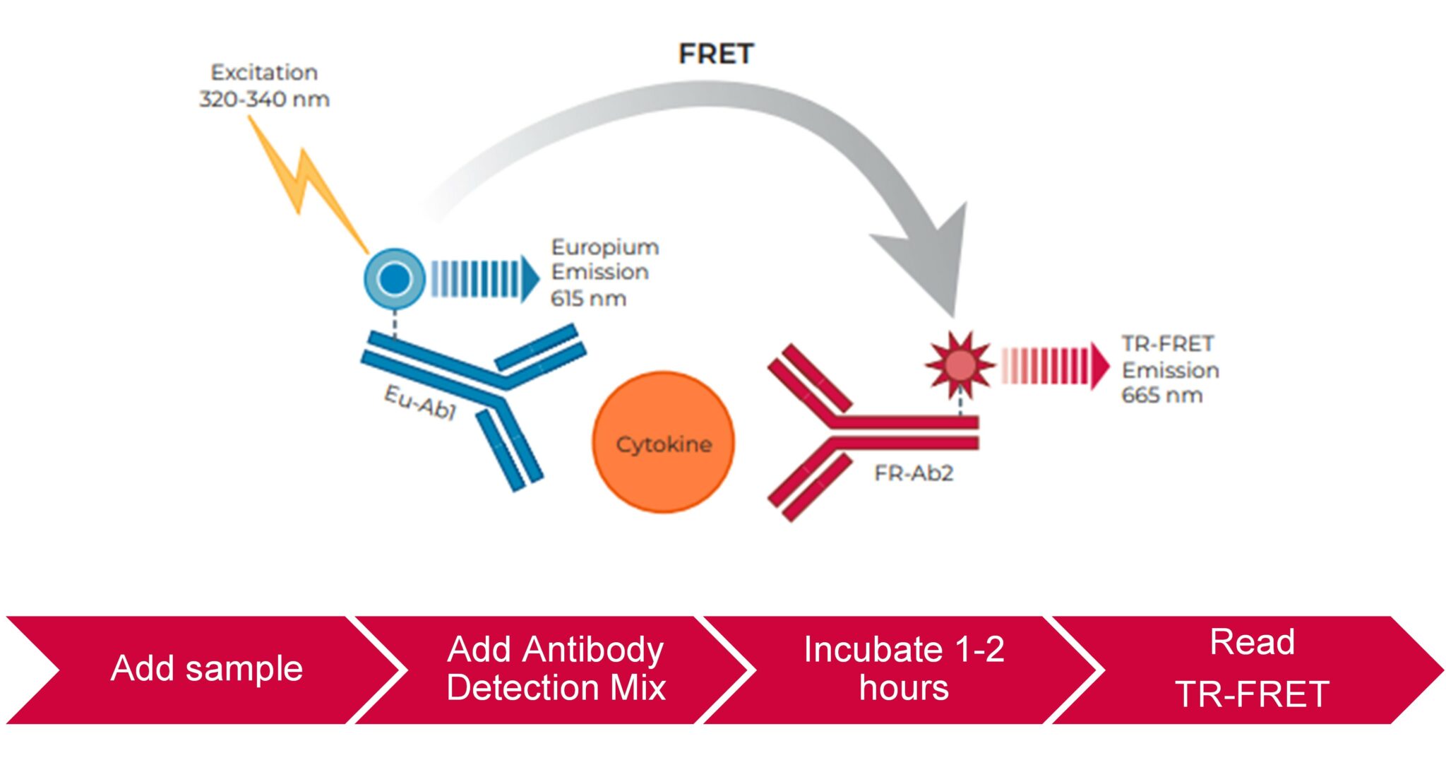3 Reasons Why the THUNDER™ Human Cytokine Assay Kits are the Best TR ...